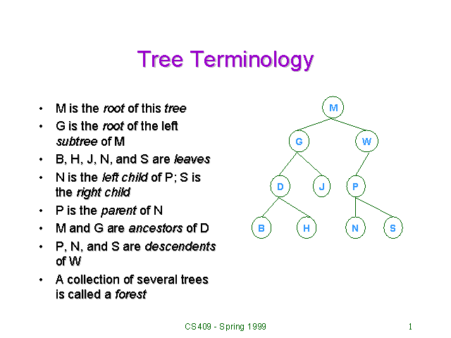 Tree Terminology